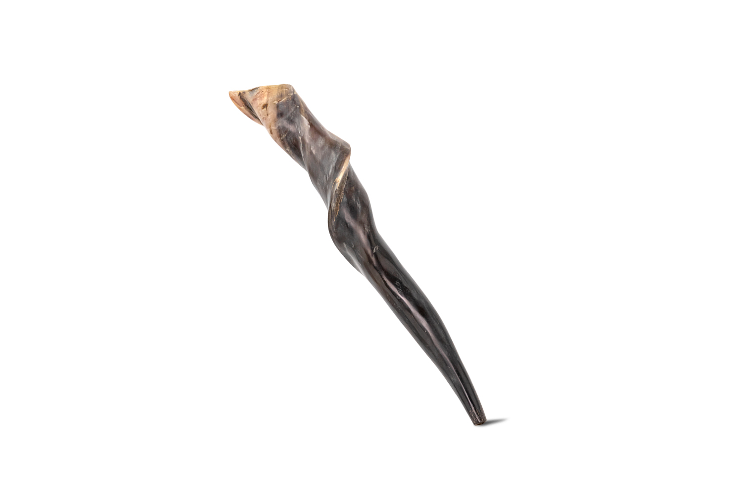Rare Large Eland Horn Shofar | Israel Cart